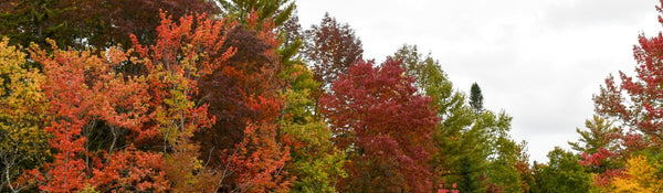 October Collection – Sailormadeusa